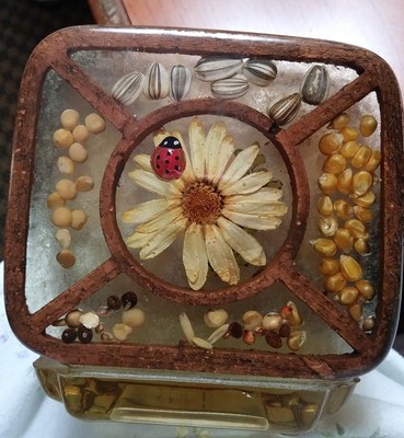 Vintage Gamut Designs Lucite Nature Garden Napkin Holder | eBay