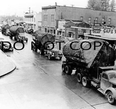 ANTIQUE REPRO 8X10 LOGGING PHOTOGRAPH HUGE TIMBER LOGS MAIN STREET ...