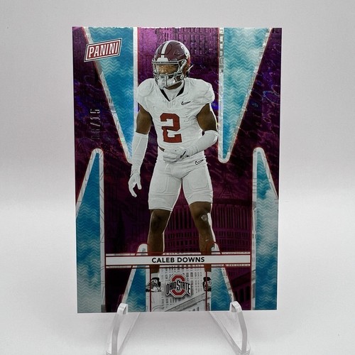 2024 Panini The National Silver Pack Caleb Downs Purple 8/15 | eBay