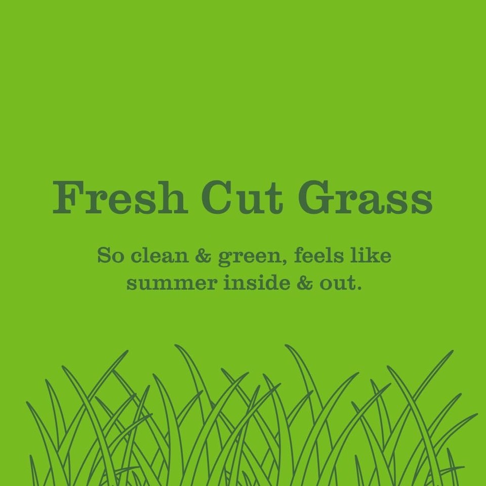 Clean Day Room Freshener, Fresh Cut Grass Scent, 8 Ounce Non-Aerosol ...