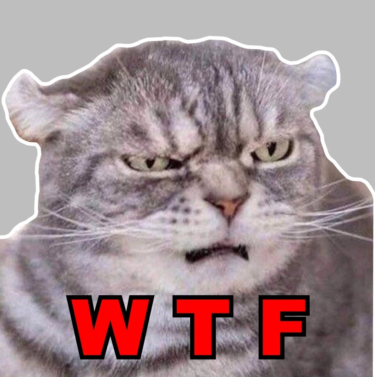 Shocked Cat Rage Face