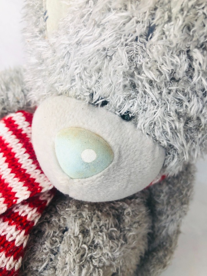 Soft Toy Tatty Teddy Bear Large Official Me to You ra | eBay UK