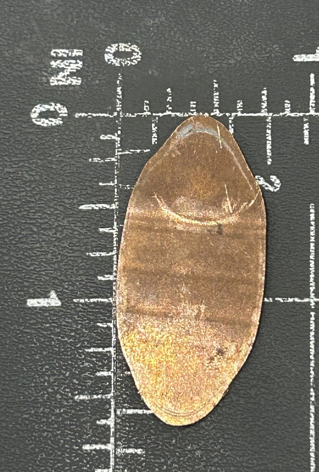 West Palm Beach Florida Lion Country Safari Elongated Pressed Smashed ...