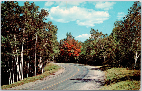 Random Road Scene Scenic Nature Drive Trees Colors Country USA Vintage ...