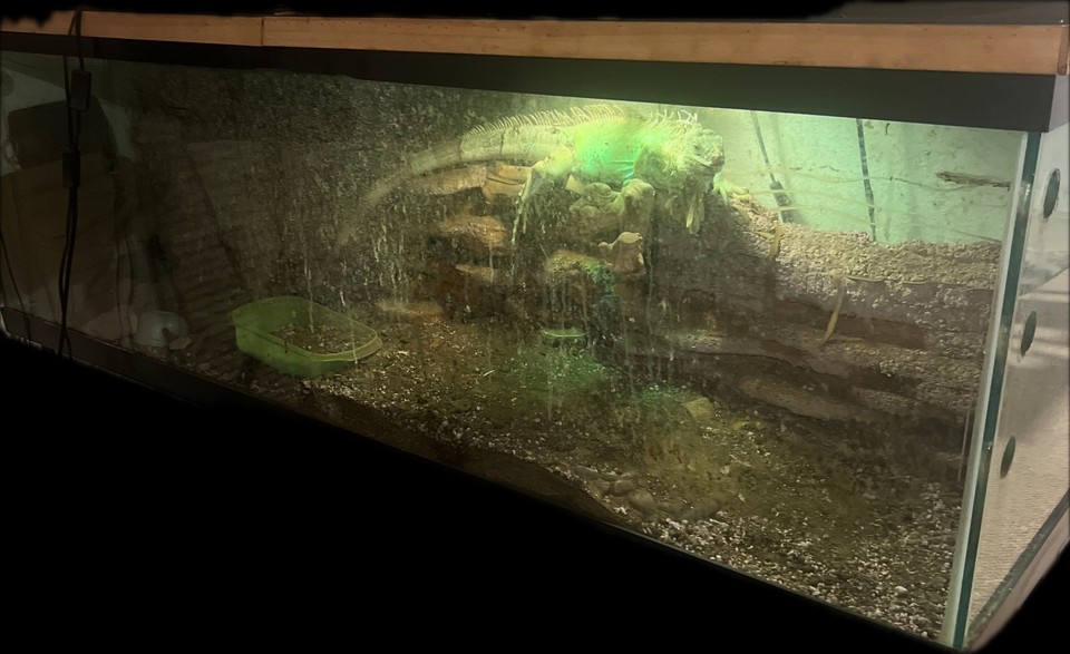 Fish Tank. 125 Gallon. | eBay