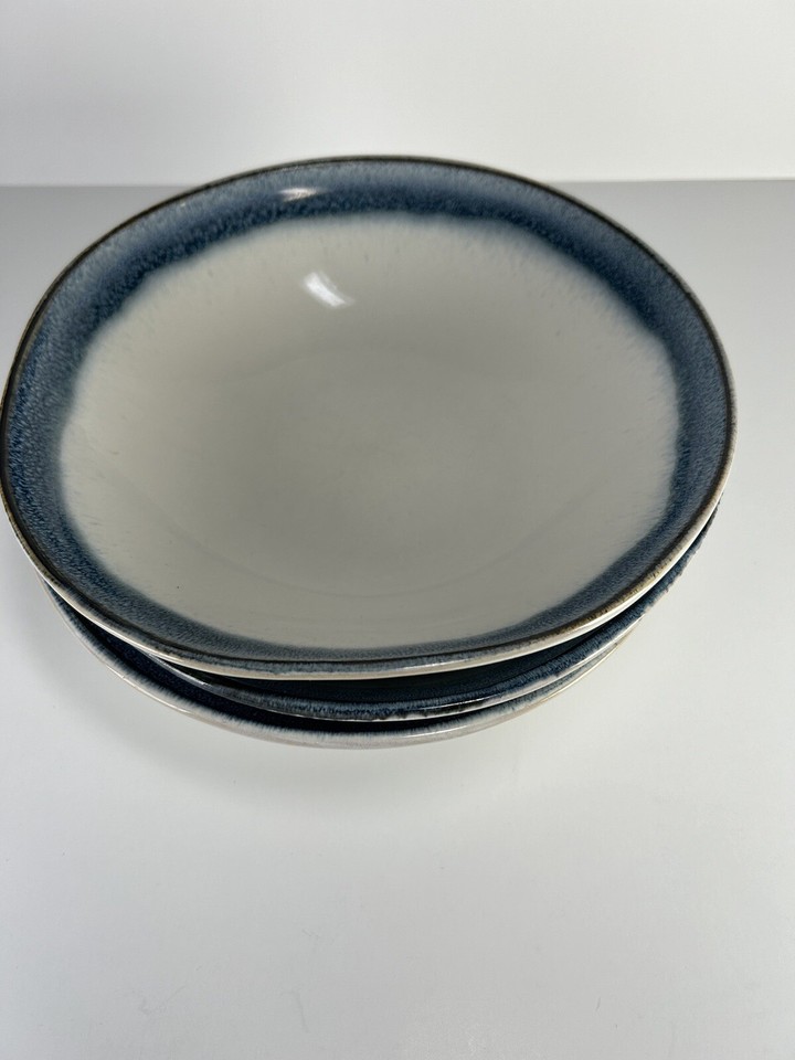 Target Home Ashwood Blue Stoneware Dinnerware (Target Version of ...