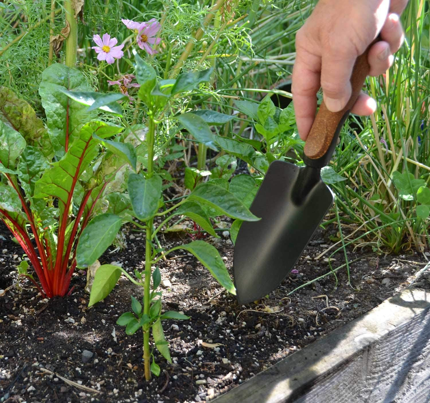 Garden Tool Set, 5 Pieces, Heavy Duty Powder Coated Steel, Cork Handle ...