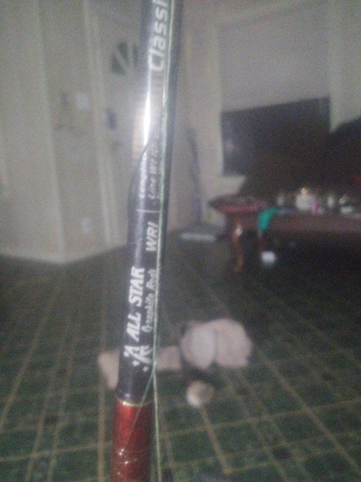 All Star Graphite Series Rod 6'6" w Abu Garcia TC 5000C Reel Tournament ...