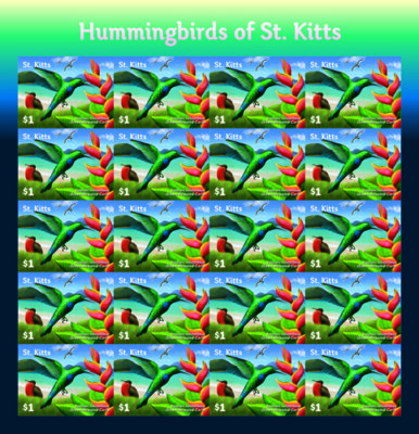SAINT KITTS 2015 - HUMMINGBIRDS OF ST. KITTS SHEET OF 20 STAMPS MNH | eBay