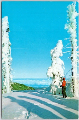 SKIING POSTCARD Hurricane Ridge, Olympic National Park, Washington ...