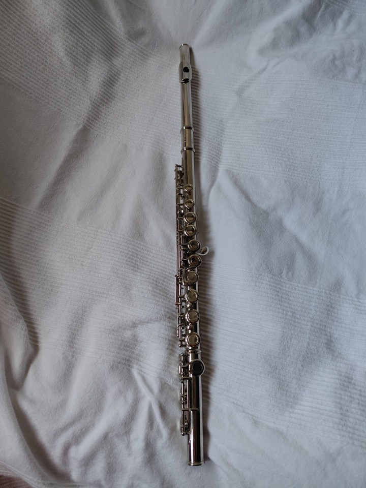 Flute Musical Instrument for Beginners | eBay UK