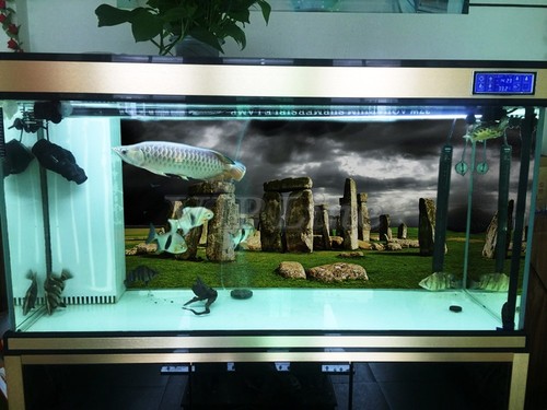 Aquarium Background Poster Stonehenge PVC Fish Tank Decorations ...