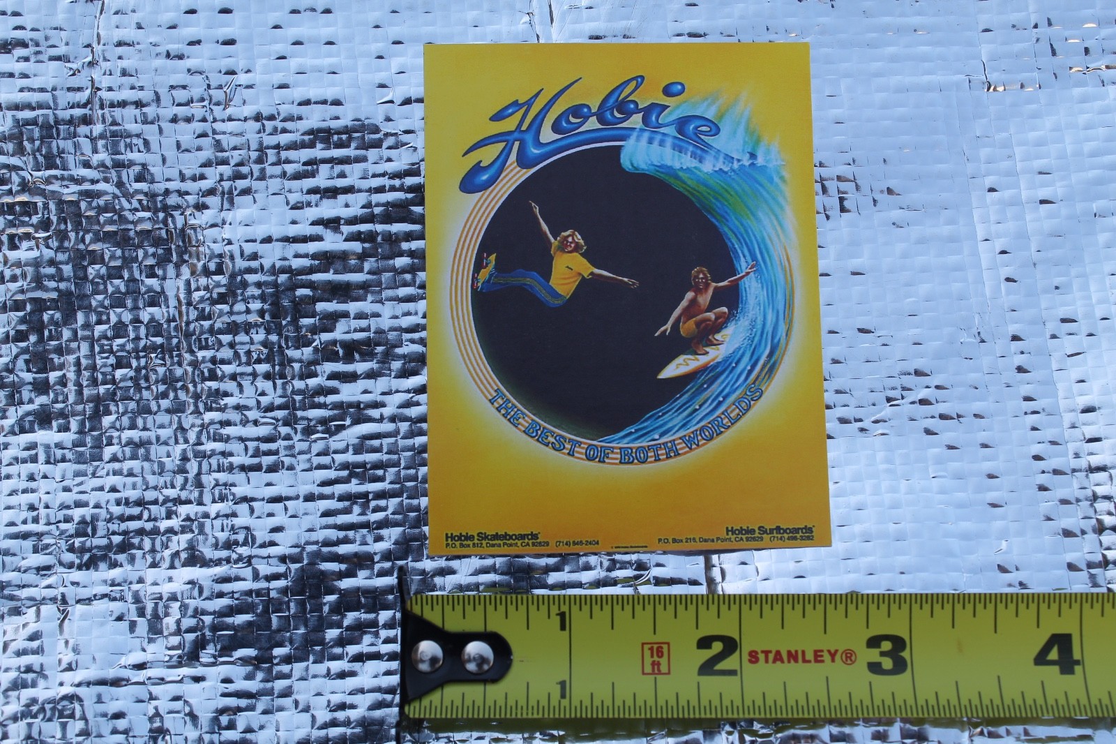 HOBIE Best of Both Worlds Surfboards Skateboards Surfing Skateboarding ...