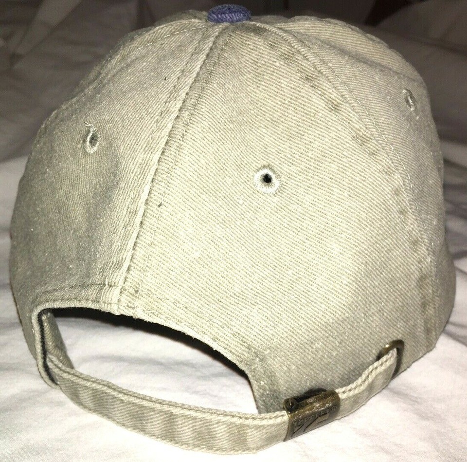 Vtg CONECTIV ENERGY HAT Rare Baseball Cap LOGO Newark Delaware PEPCO 90 ...