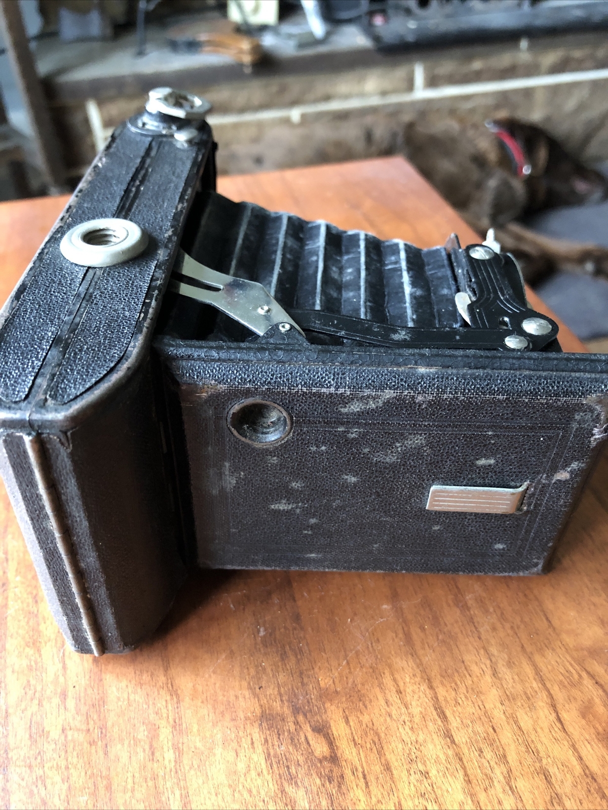 Antique Juwella Pronto Camera 1:6.3/10.5cm Anastigmat | eBay