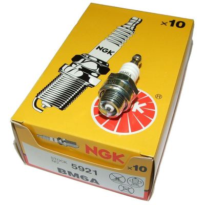 10 Spark Plugs, NGK BM6A Stock Code 5921 5054716328342 | eBay UK