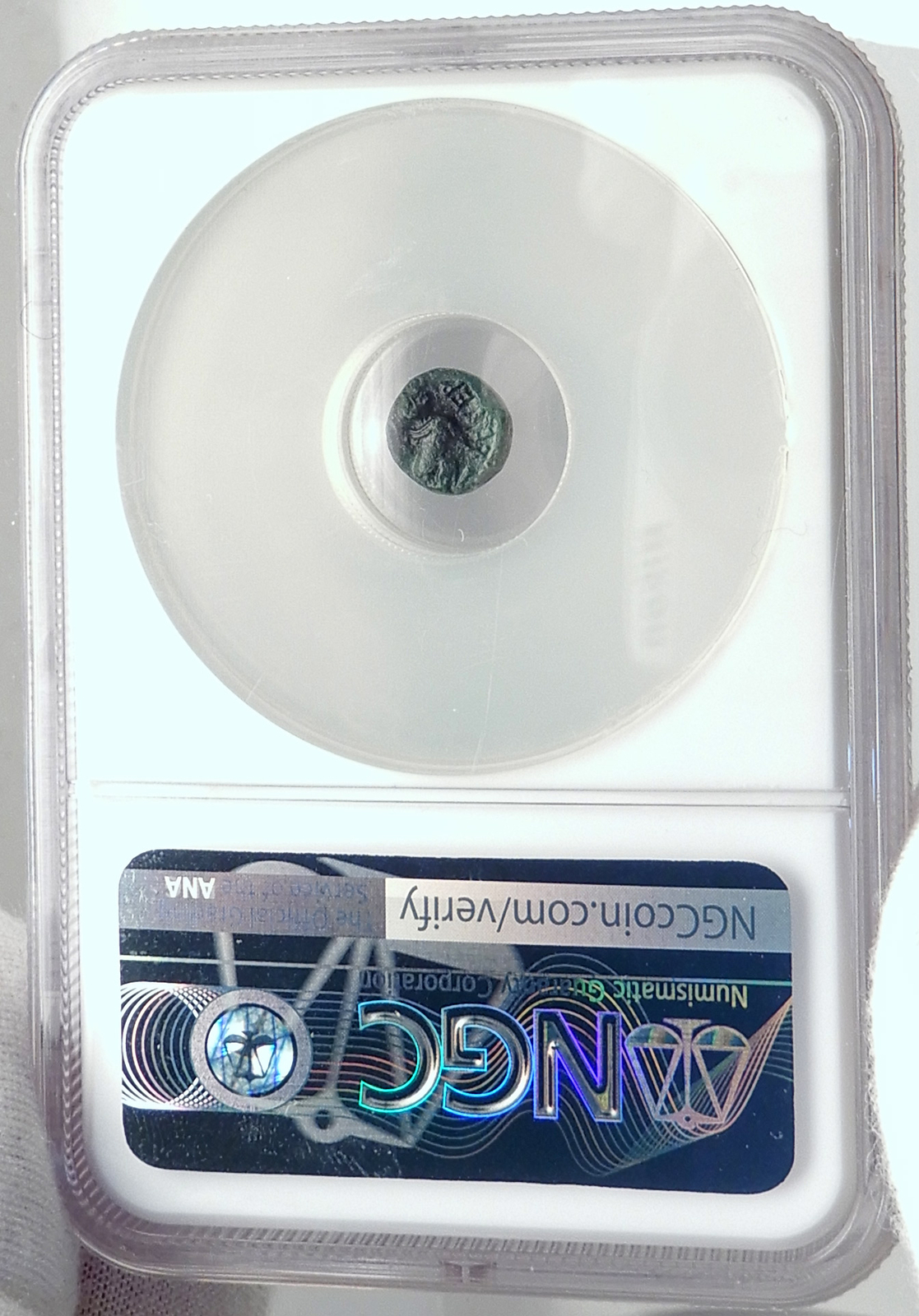 GERGIS in TROAS Authentic Ancient 350BC Greek Coin SIBYL SPHINX NGC ...