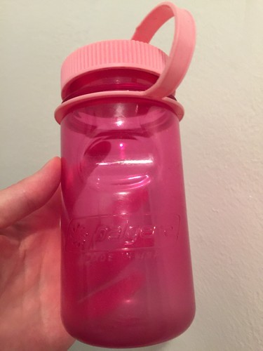 Nalgene Everyday Mini-grip Camping Water Bottle Pink 12oz | eBay