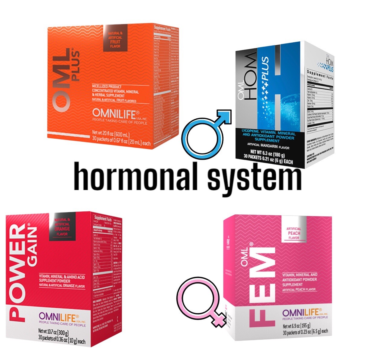 Power Gain + Oml Fem + Oml Hom + Oml Plus hormonal system hormonal ...