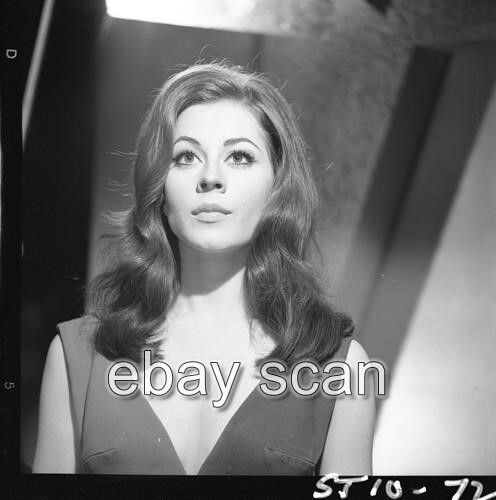 STAR TREK SHERRY JACKSON BRUNETTE BOMBSHELL 8X10 PHOTO IMG437 | eBay