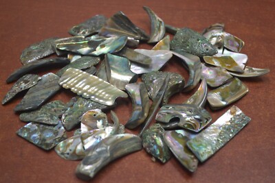 100 PCS ASSORT POLISHED MIX ABALONE SHELL SCRAP BLANKS INLAY MATERIAL # ...