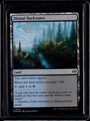 Dismal Backwater - 254 - Foil - TDM - NM - MTG Magic the Gathering | eBay