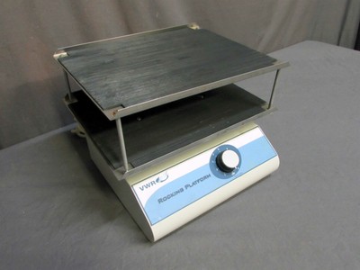 Shakers - Rocker Model