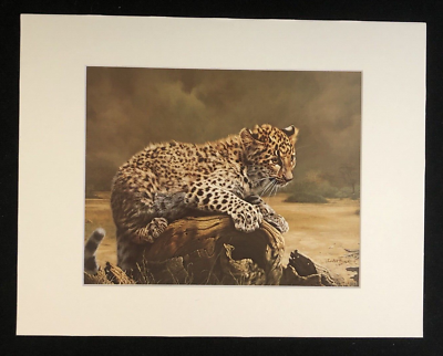 Charles Frace African Leopard Charles Frace | Charles Frace, Tiger