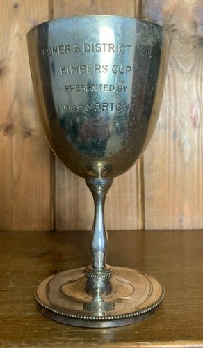 Esher Surrey Dog Show vintage silver plate trophy, loving cup, trophies ...