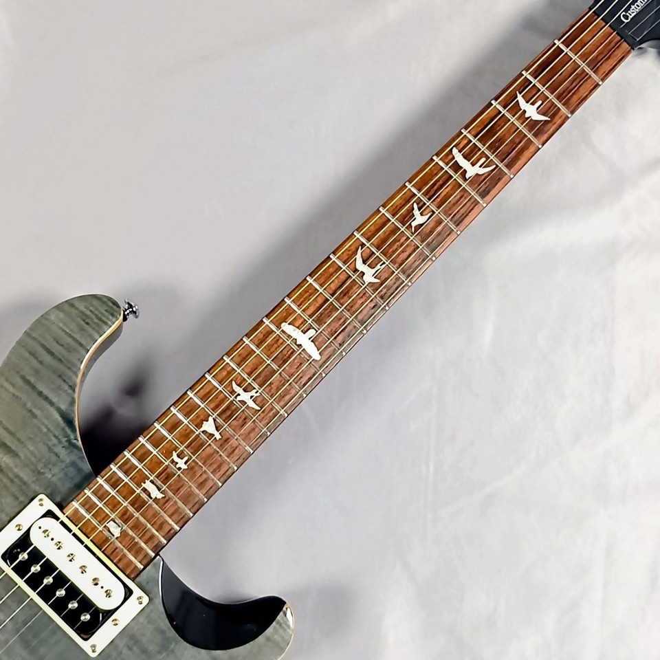 Paul Reed Smith PRS SE Custom 24 N Safe delivery from Japan | eBay UK