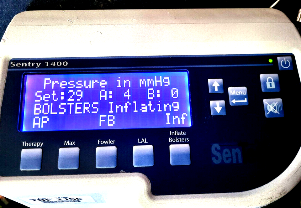 *NICE* SenTech Sentry 1400 Pressure Relief System Pump | eBay