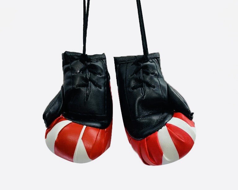 Puerto Rico Boxing gloves Set Puerto Rican For Cars | eBay