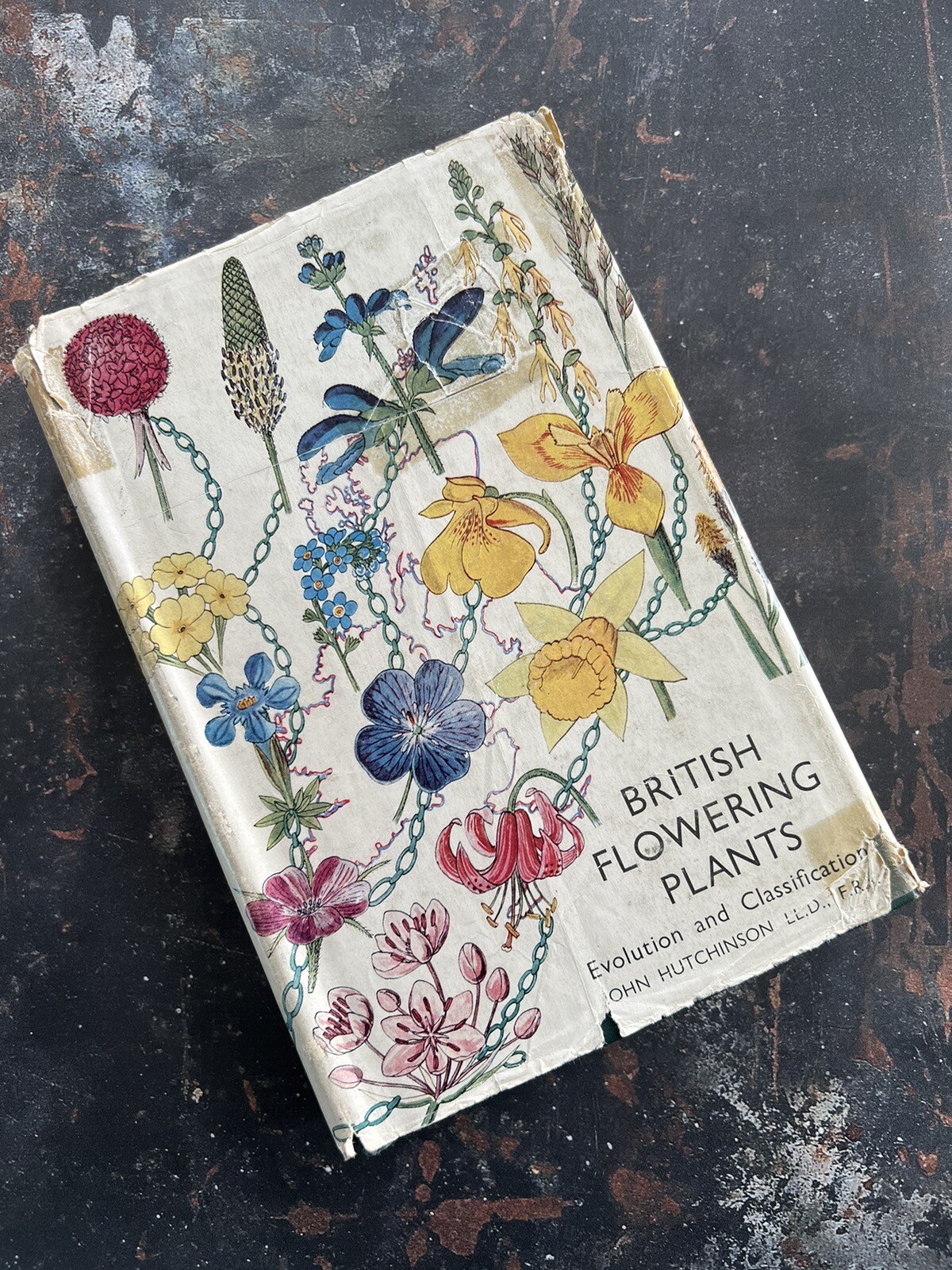British Flowering Plants by John Hutchinson 1948 collectible/rare book ...
