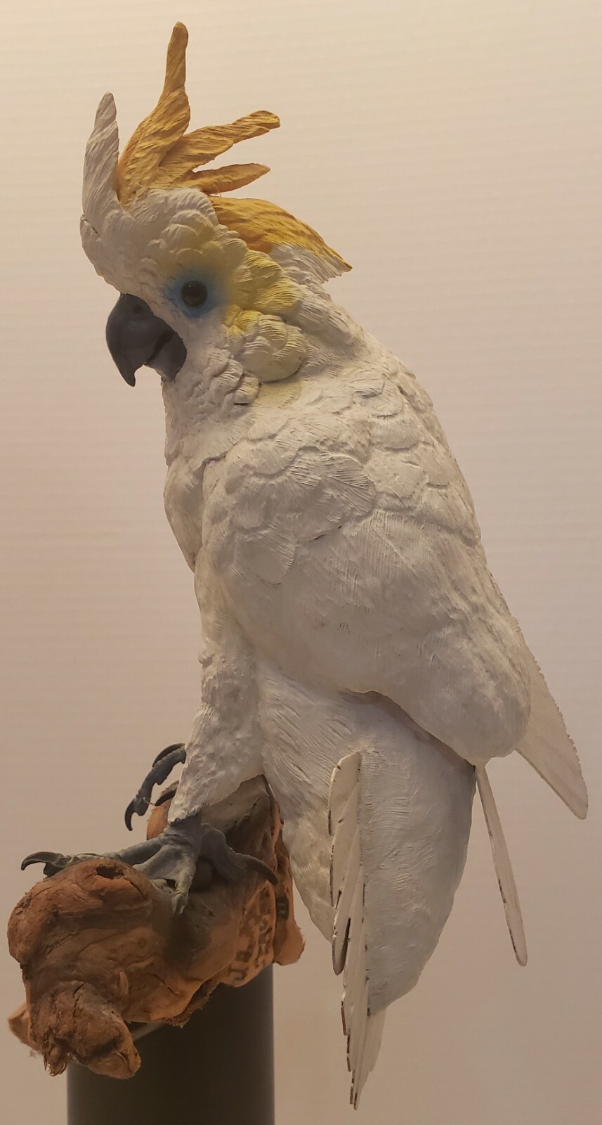 23" Carved Wood Cockatoo on Driftwood SIGNED John Strutt III FOLK ART ...