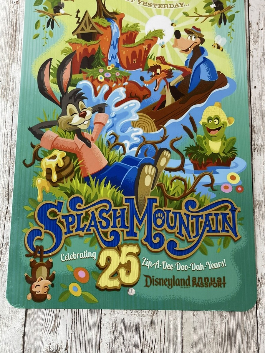Splash Mountain Poster