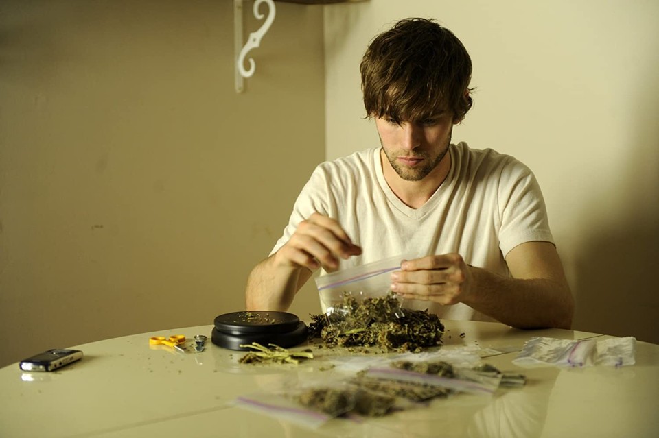 Twelve (DVD) Chace Crawford Emma Roberts Rory Culkin Emily Meade Esti ...