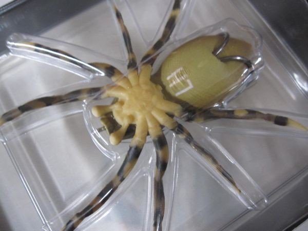 Ranker Hunt Large Phantom Spider 07 Fang New Hollow Frog Spider Spider ...