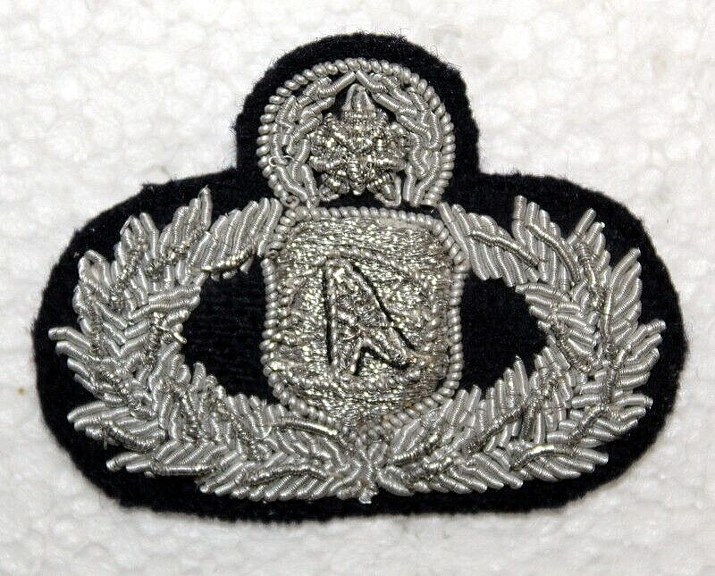USAF Air Force Master Weapons Director Large Bullion Badge Insignia Pin ...