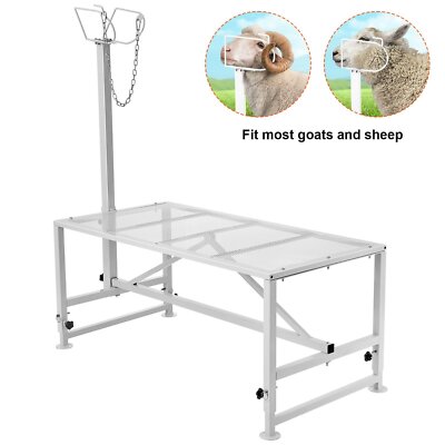Goat Stand Sheep Stand Livestock Stand Adjustable Stainless Steel ...