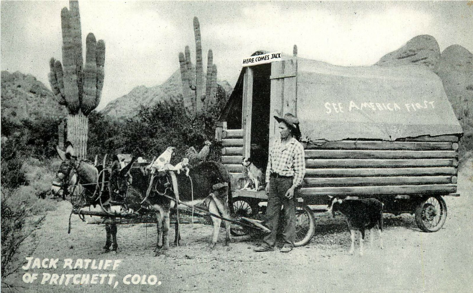 Vintage Postcard Jack Ratliff of Pritchett CO Travelling Menagerie in ...