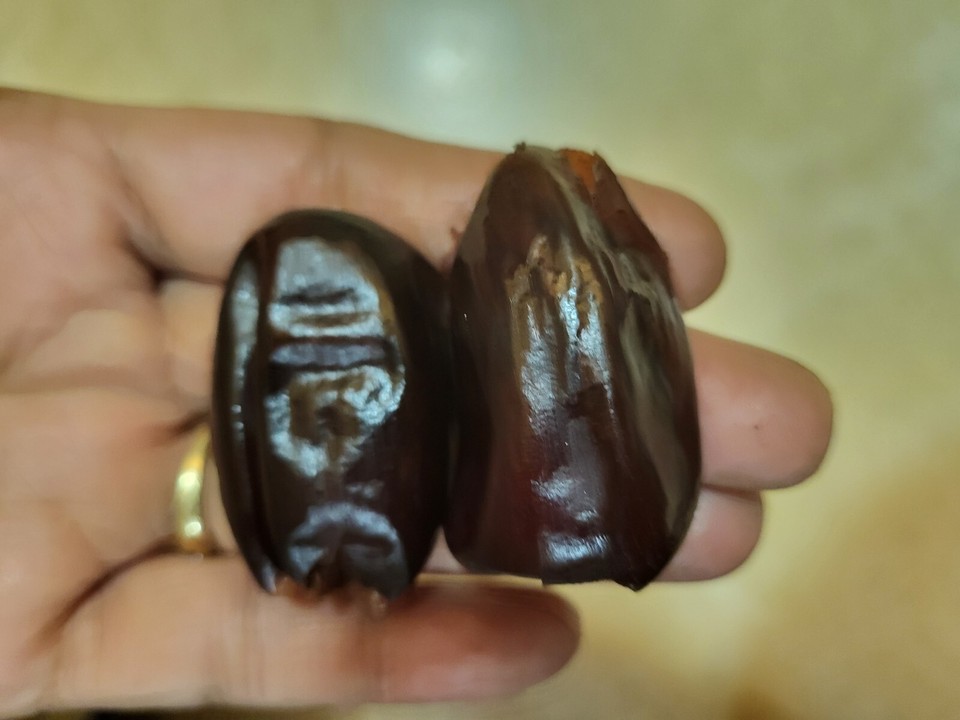 Fresh Medjool Dates Box-Very Soft(Rutob)-Naturally Grown | eBay