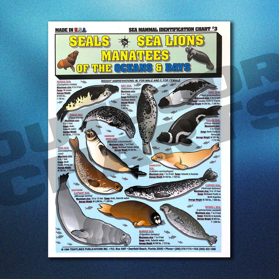 Fishermen's Saltwater Fish Identification Set - Waterproof Quick ...