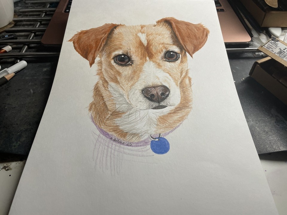 COA original art drawing Mixed Dog Portrait animal dog 8”x10”pet A4 ...