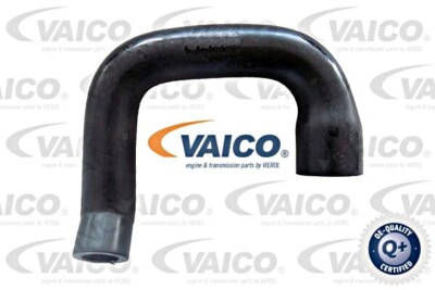 VAICO Charger Intake Hose For BMW E36 91-00 13541740159 | eBay