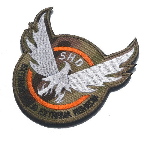 THE DIVISION SHD U.S. ARMY USA BADGE TACTICAL EMBRODIERED HOOK PATCH ...
