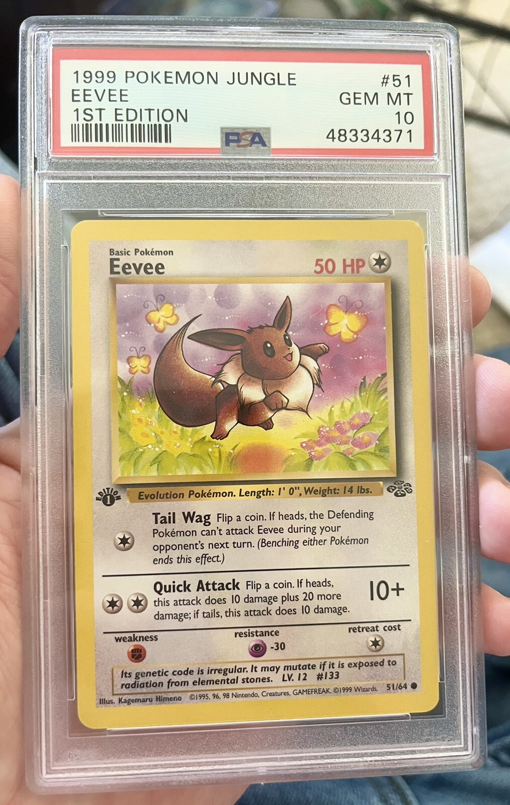 Eevee 1999 Jungle #51/64 1st Edition Price Guide - Sports Card Investor