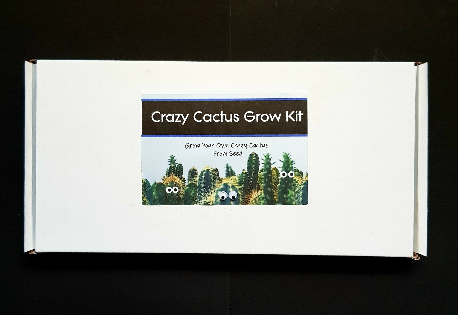 Grow Your Own Cactus Kit Set Gardening Gift Boys Girls Kids Cacti Set ...