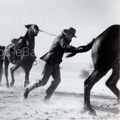 1953 The Last Posse Broderick Crawford John Derek Charles Bickford ...