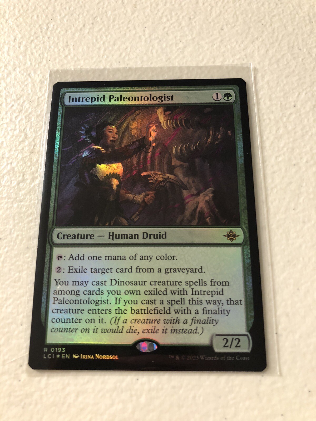 Intrepid Paleontologist Foil Lost Caverns Of Ixalan LCI MTG Magic Pack ...
