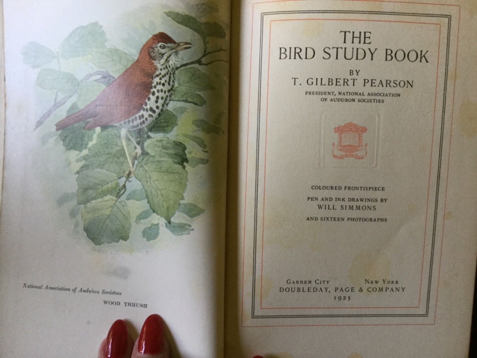 The BIRD STUDY BOOK,T. Gilbert Pearson, Pres of Audubon Societies, 1925 ...